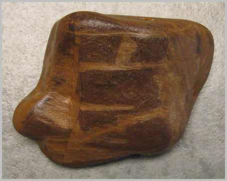 Petrified Wood – Rubyvale Cut and Slice